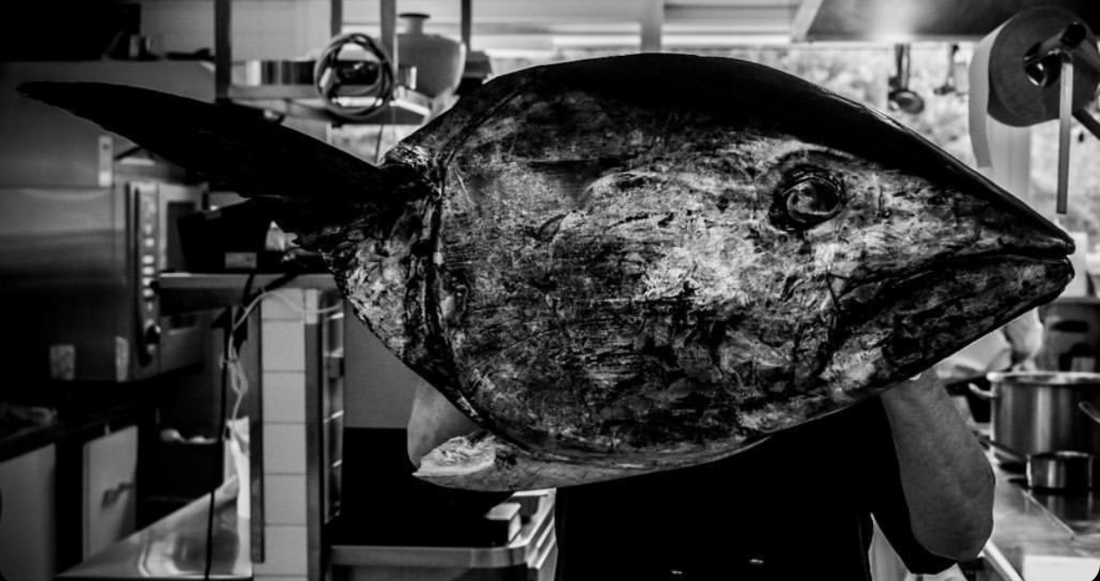 L'art du gyotaku avec Luc Legendre - Japan Glossy