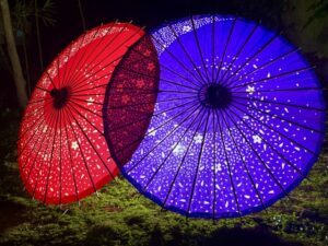 Wagasa, le parapluie traditionnel japonais - Japan Glossy